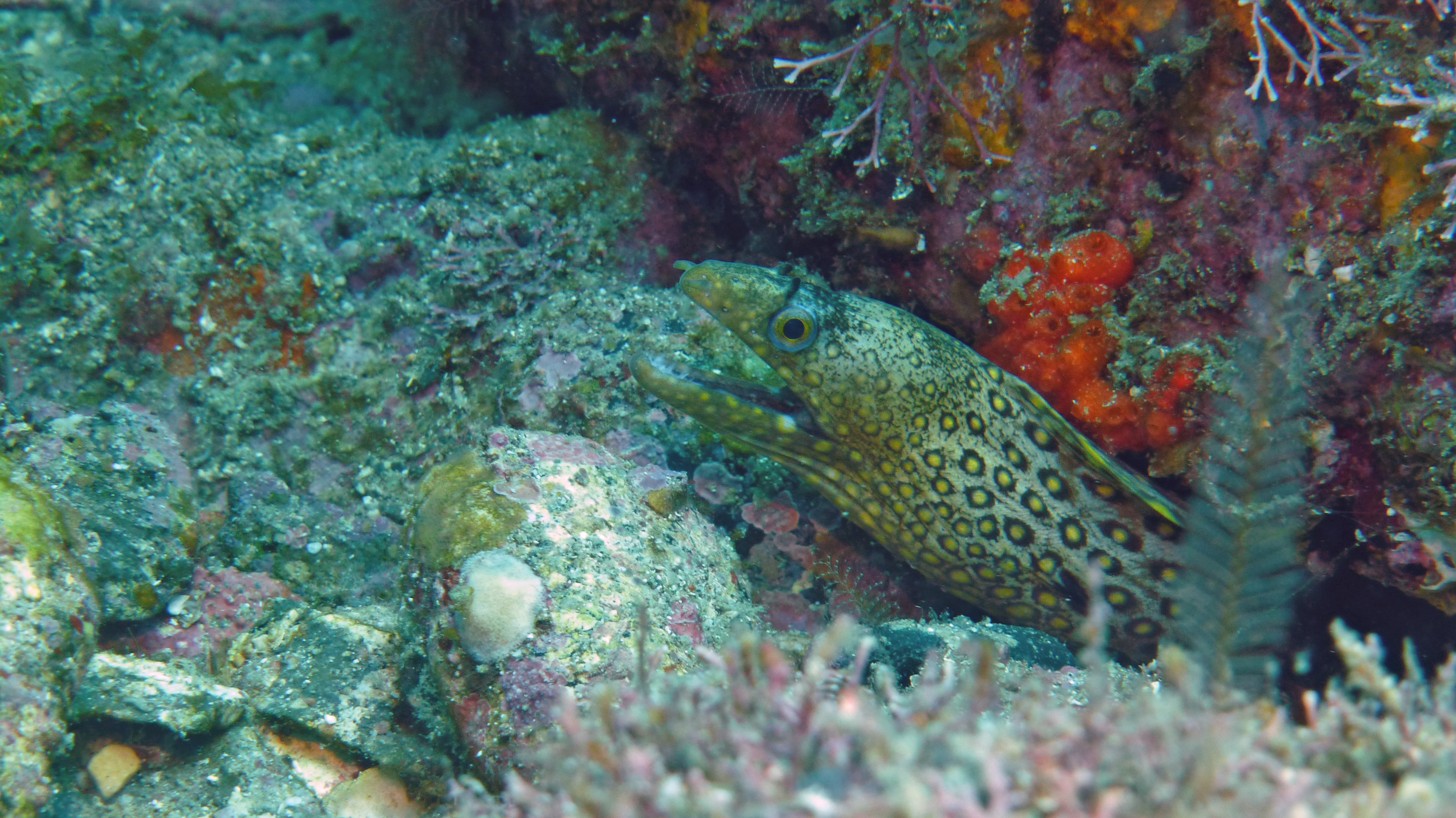 Stephan's SCUBA Stuff